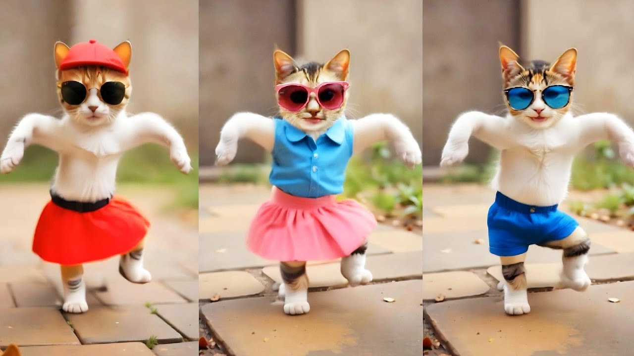 Cute Dancing Cat With Difference Style 😹 | Cat Dancing - YouTube