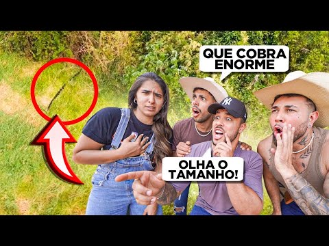 ELA APARECEU😱 A ANACONDA PRETA FOI VISTA PELO DRONE E NINGUEM ACREDITOU!!! *sucuri gigante*🚫🚨