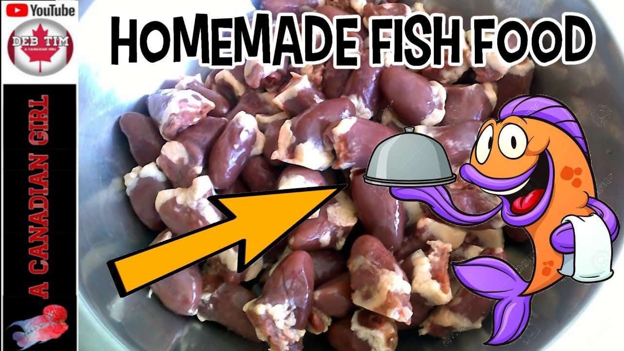 DIY HOMEMADE GEL-FOOD FOR THE HEALTHIEST AQUARIUM FISH EVER! - YouTube