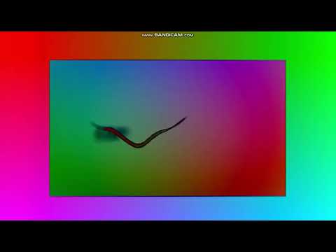Combiphar Logo Effects (Intel Core i5 Duo Logo (2011 - 2012) Effects)