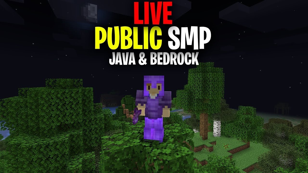 🔴 Minecraft Live Public SMP | Java + PE | Anyone Can Join | 24/7 ...