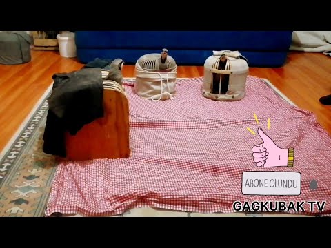 Yavru Keklik , Avcı Buluşması, Çığırtı süper, Malatya, partridge hunt, مطاردة الحجل, awyкуропатка