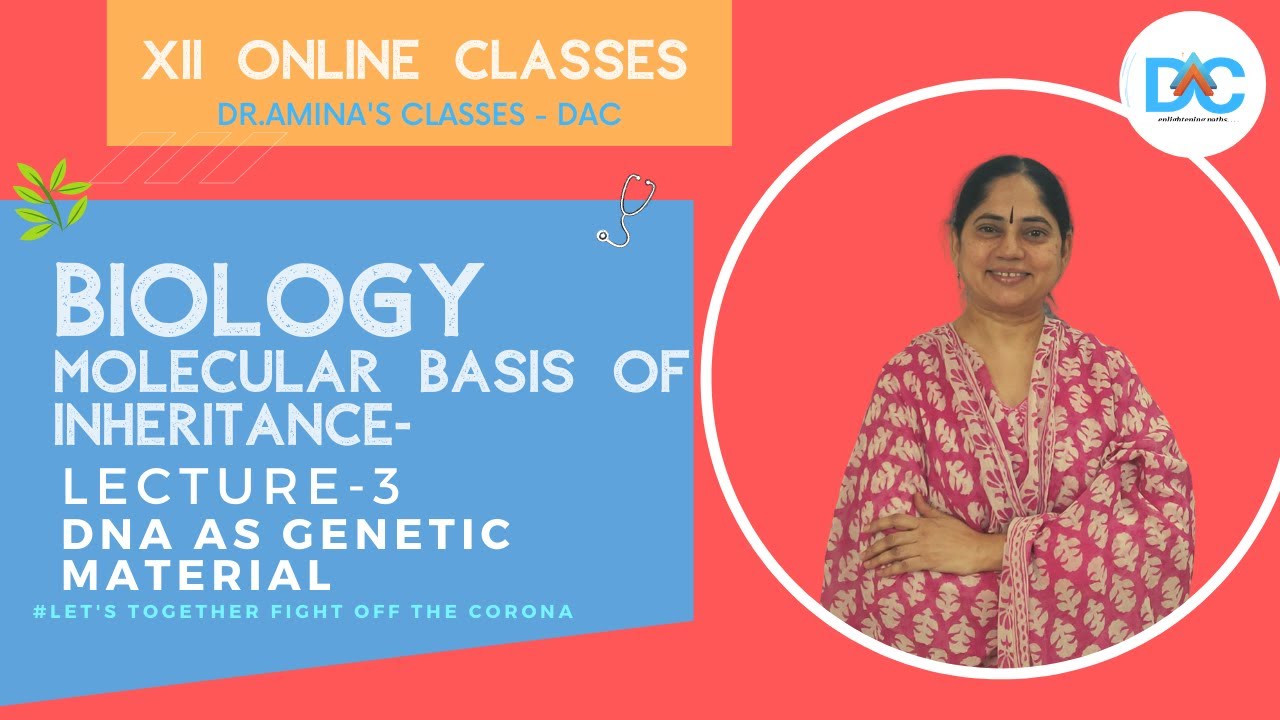 Class|12|Biology|Molecular Basis Of Inheritance-DNA-2 - YouTube