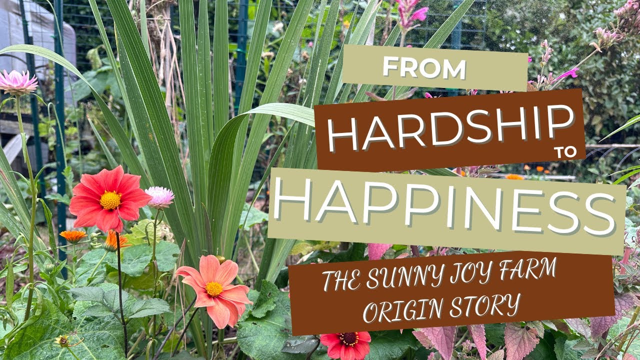 Hardship to Happiness- Origin story of Sunny Joy Farm - YouTube