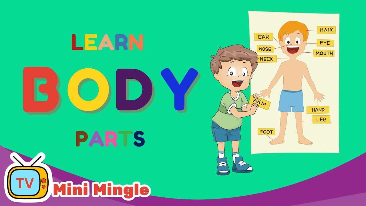 Parts of Body in English | Learn Body Parts | Educational Videos for ...
