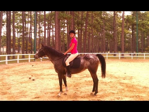 English horseback riding - YouTube