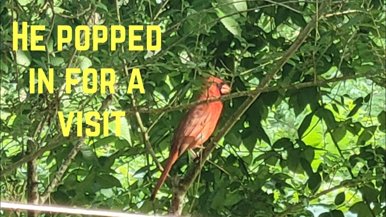 He popped in for a visit - YouTube