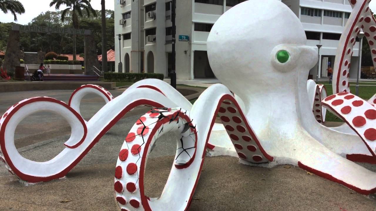 Hidden Octopus Final - YouTube