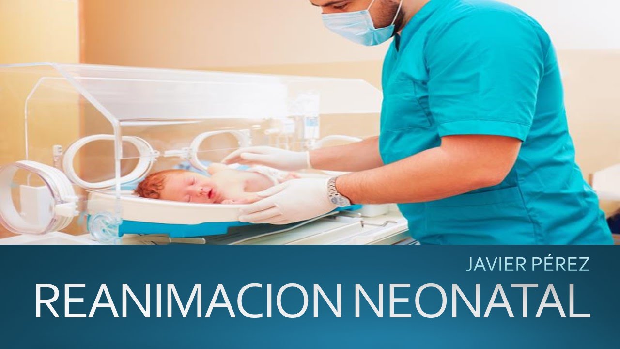 REANIMACIÓN NEONATAL - YouTube