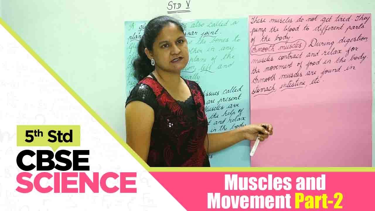 5th Std CBSE Science Syllabus Muscles And Movement Part 2 CBSE 5th-std-cbse-science-syllabus-muscles-and-movement-part-2-cbse