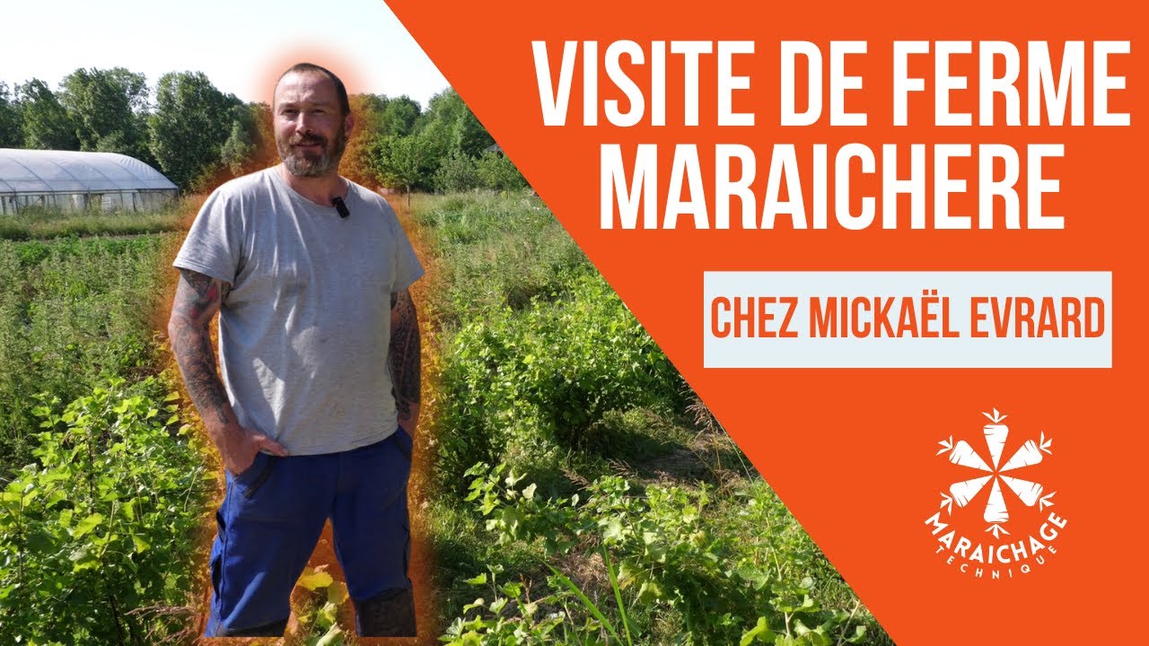 Visite de ferme maraichère : Chez Mickaël Evrard. Maraicher Bio dans la ...