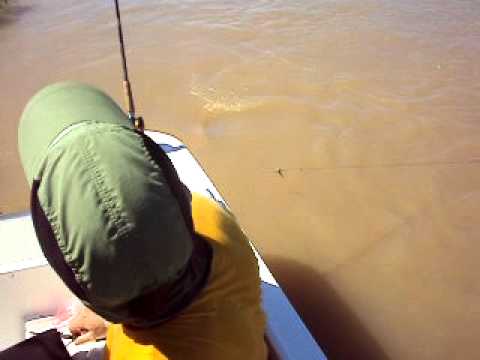 pesca dorado con morena(www.pescasolyplaya.blogspot.com) - YouTube