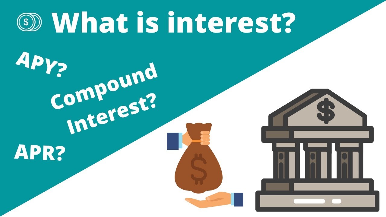 What Is Interest YouTube what-is-interest-youtube