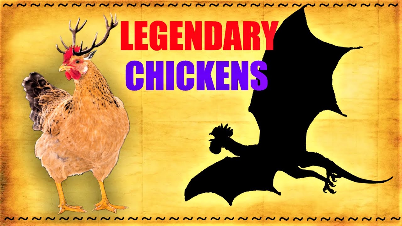 Top 7 Legendary Chickens - Different Mythologies and Cultures - YouTube