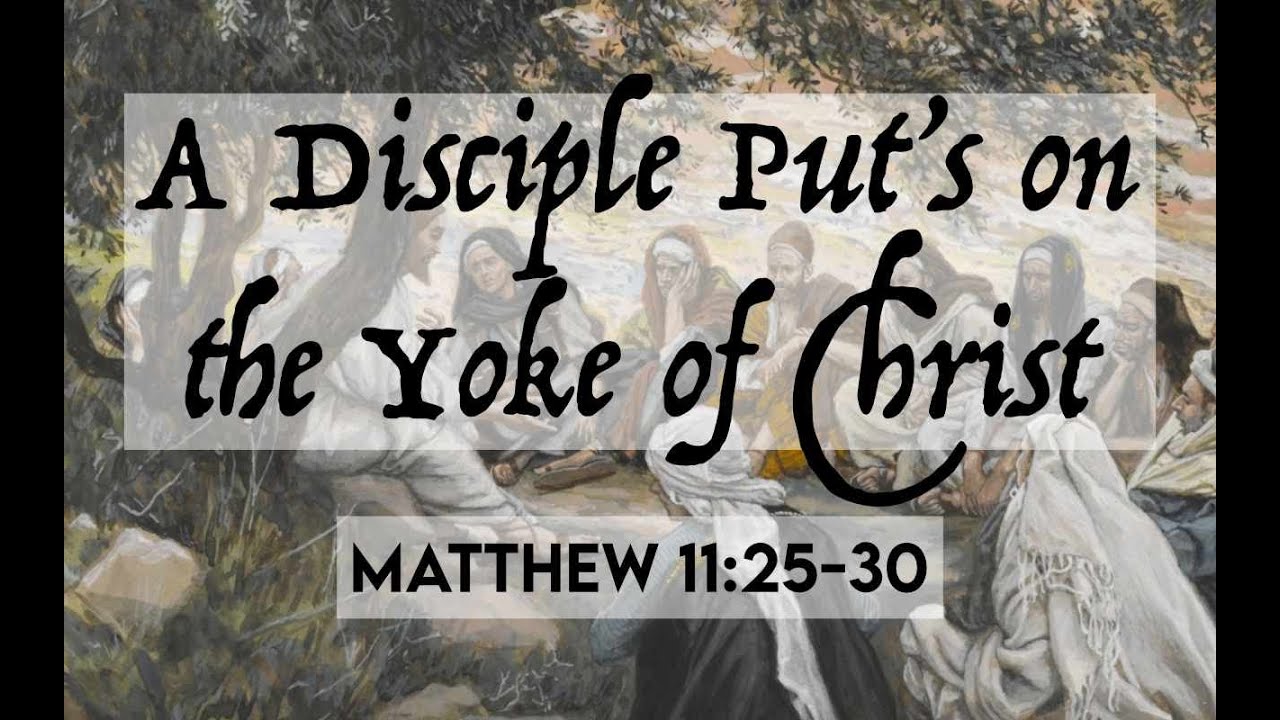 A Disciple Put's on the Yoke of Christ (Matthew 11:25-30) - YouTube
