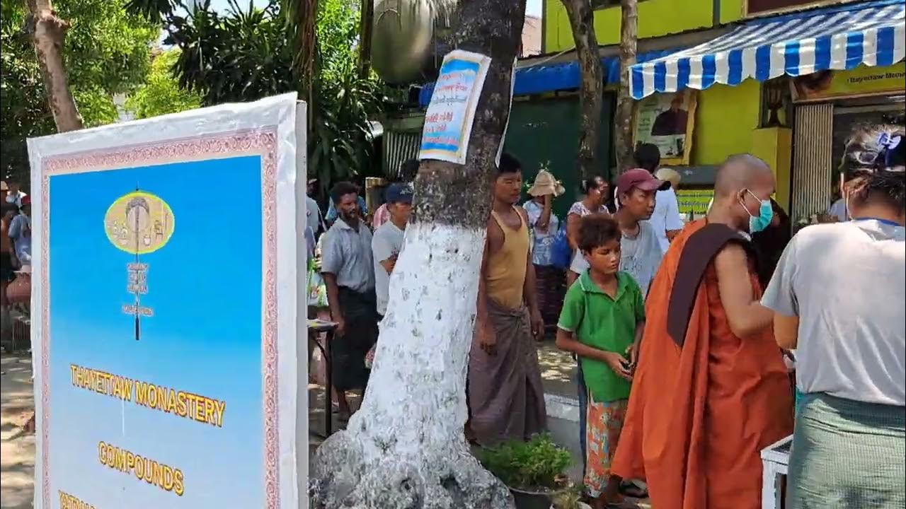 15 May24 သရက်တောကျောင်းတိုက် သဘာဝတရားရိပ်သာ၌ နေ့စဥ် ထမင်း ဟင်း အဟာရဒါန
