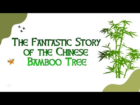 🌲 The Fantastic Story of the Chinese Bamboo Tree 🌲 - YouTube
