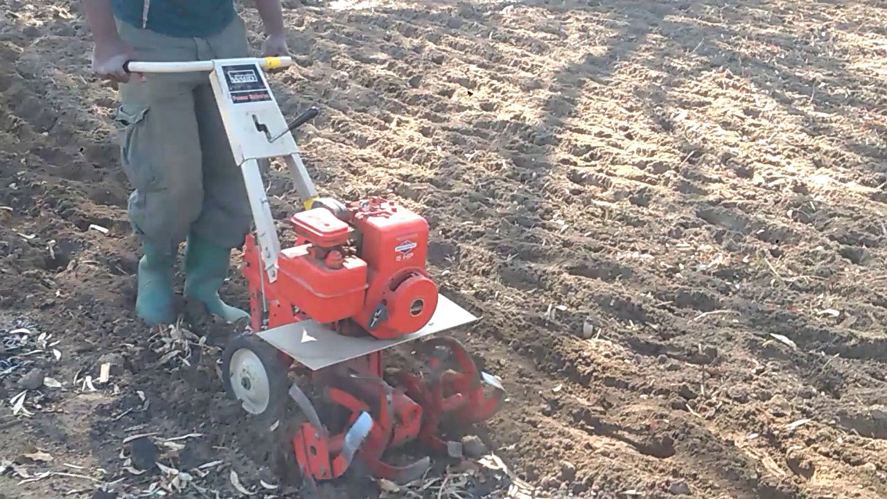 Kilimo Tanzania - Kilimo cha kisasa. - YouTube