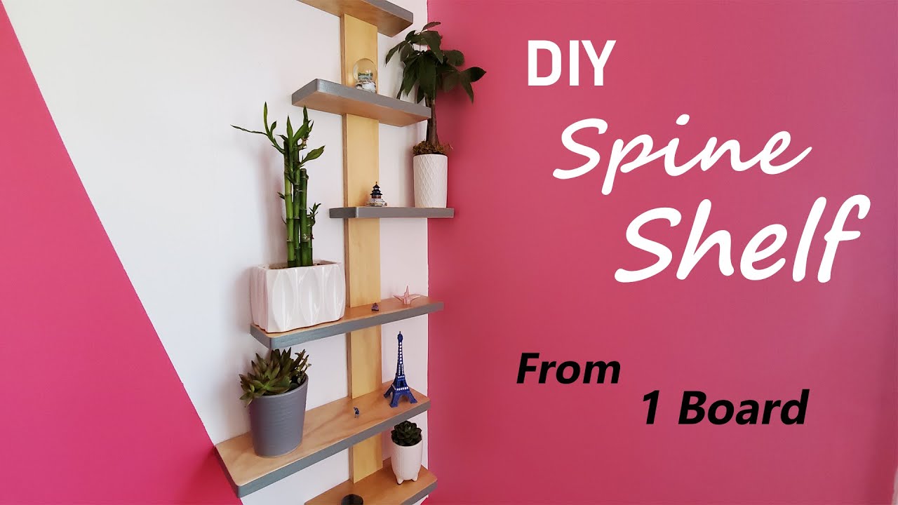 How to build a Spine Shelf with 1 board and 1 tool. - YouTube