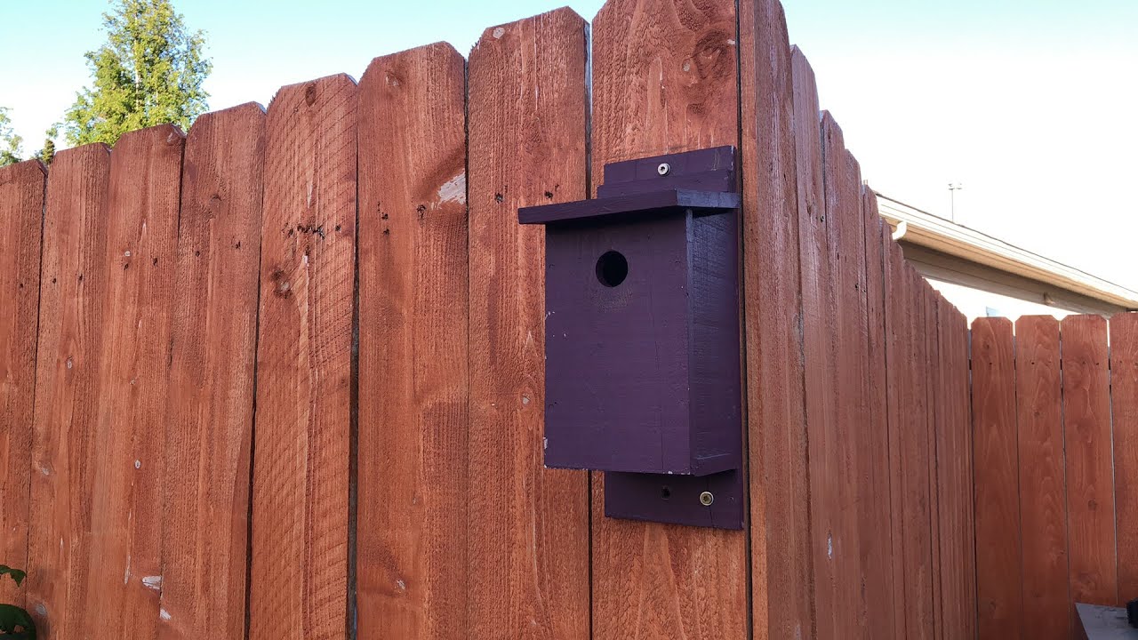 Backyard Birdhouse - Anchorage Alaska - YouTube