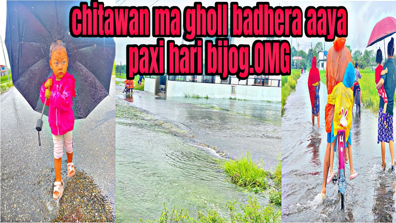 #magarni #minivlog 3dinko jharile gholl badherw bigarnu samma bigaryo ...