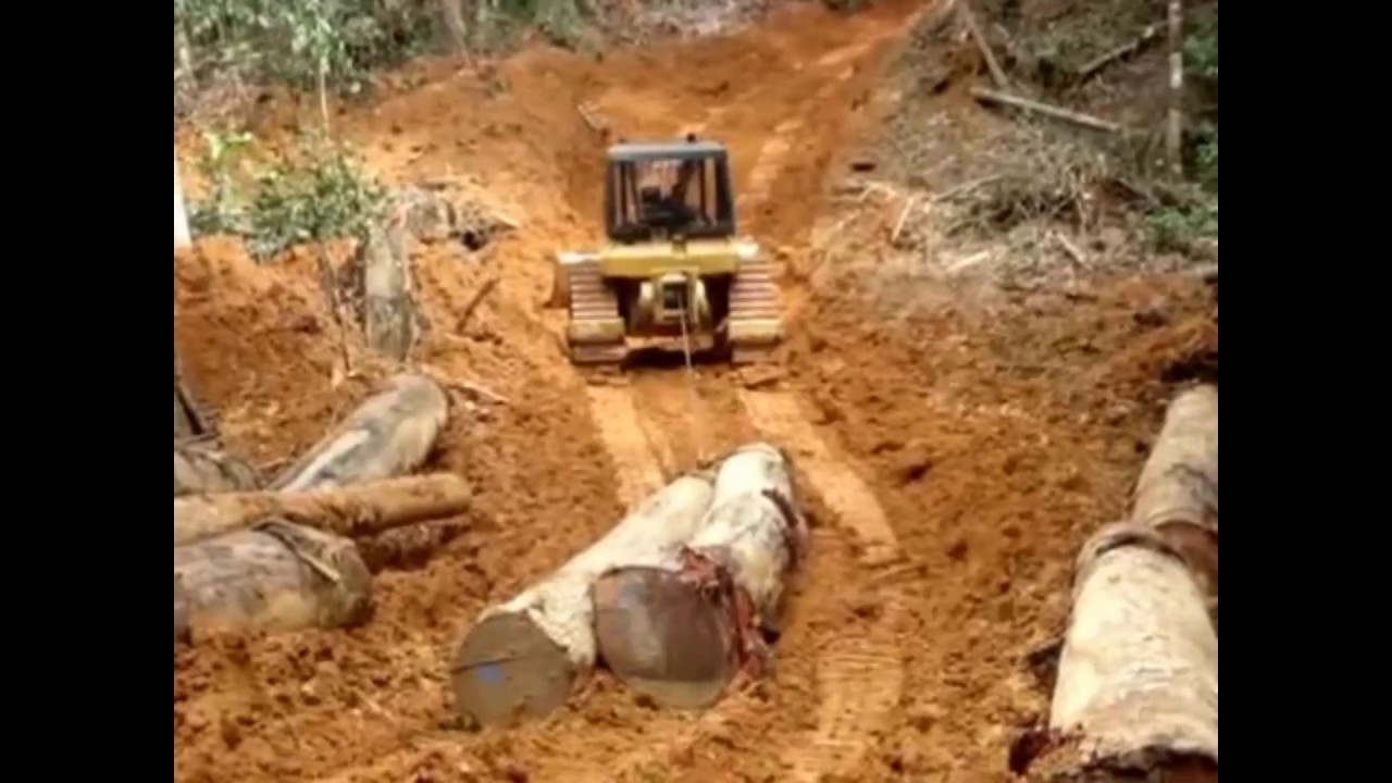 Extreme Logging - YouTube