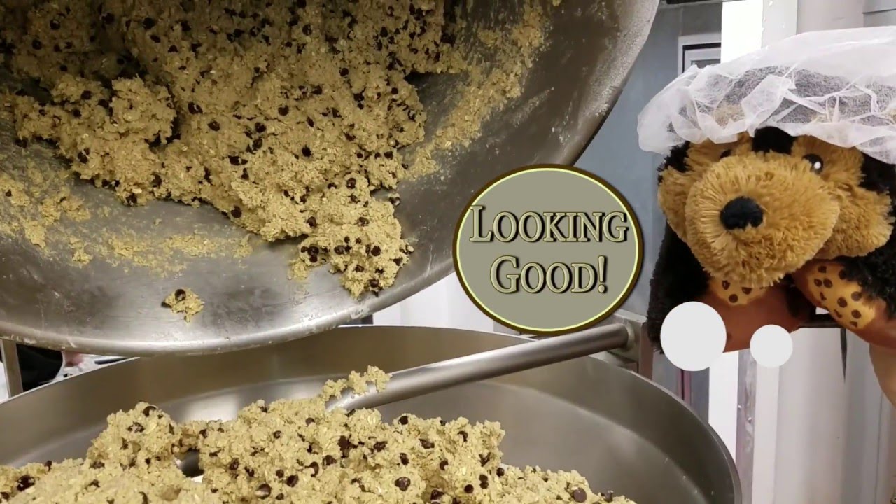 Cookie Pup visits Chocolate Chip Cookie Factory - YouTube