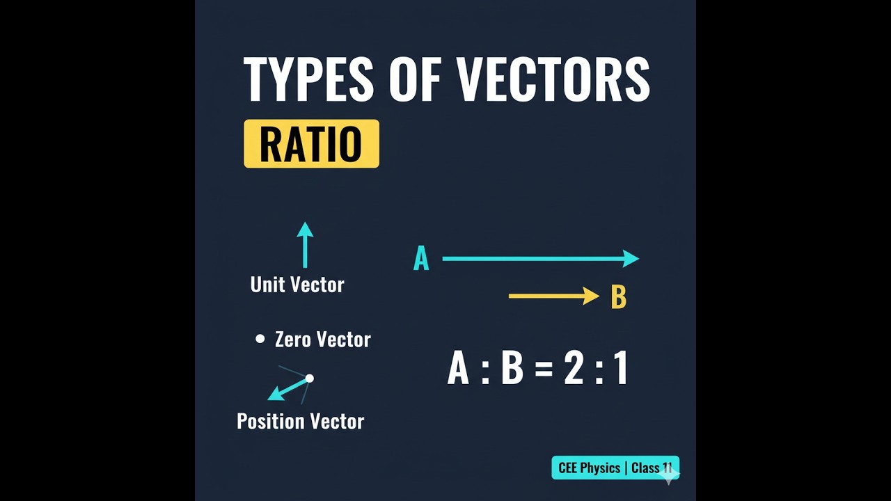 Vector (3) |Types of Vectors | Physics Basics Explained | Class 11 ...