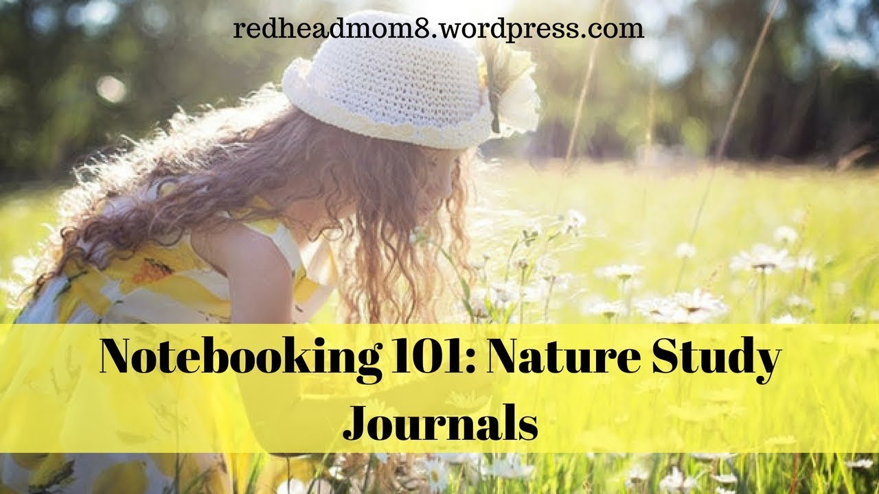 Notebooking 101: Nature Study Journals - YouTube