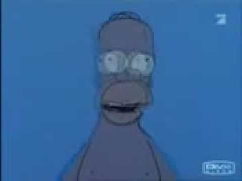 Homer Simpson singt uiuaa...