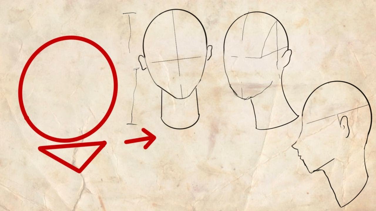 HOW TO DRAW A PERSON! (Beginner Friendly Step by Step) - YouTube