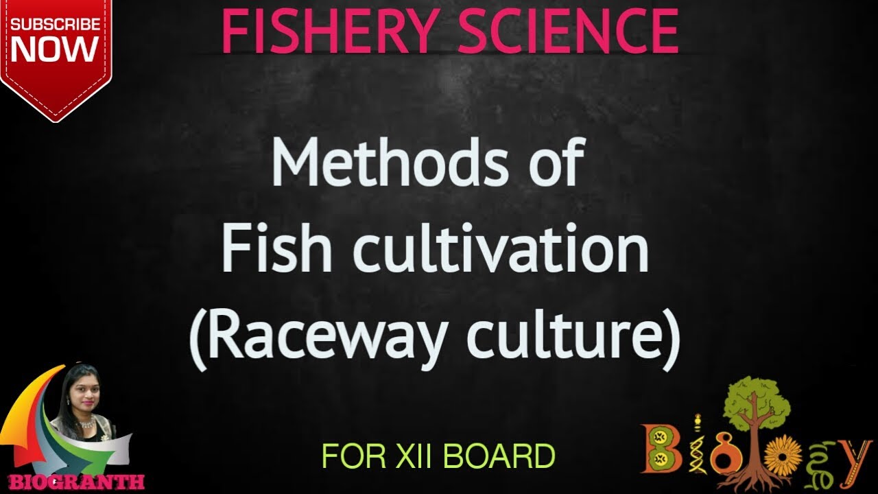 Methods of Fish Cultivation | Raceway culture | 12th Board. - YouTube