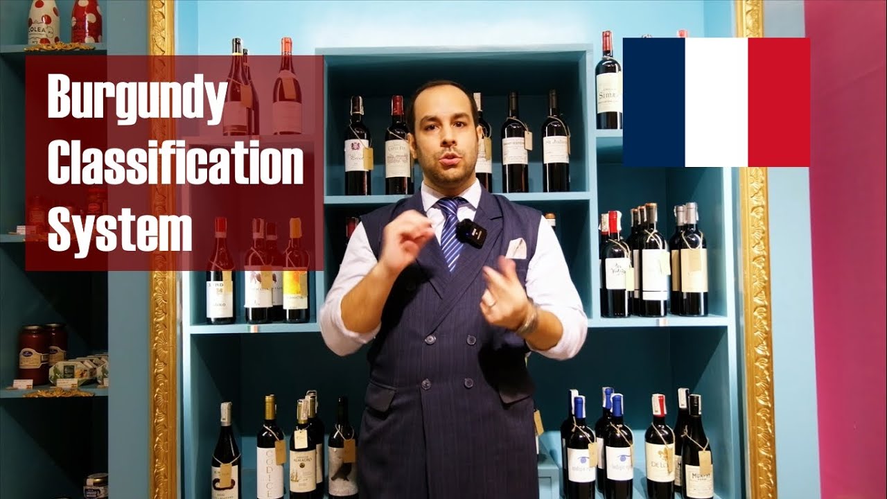 Burgundy classification system - YouTube
