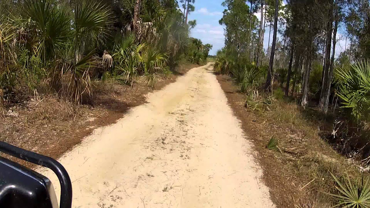 trail riding with my yamaha blaster - YouTube