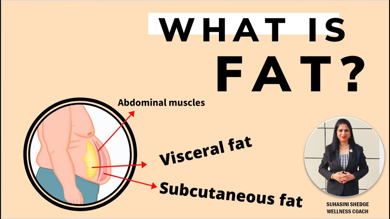 Difference between Subcutaneous Fat and Visceral Fat | How to Lose it ...