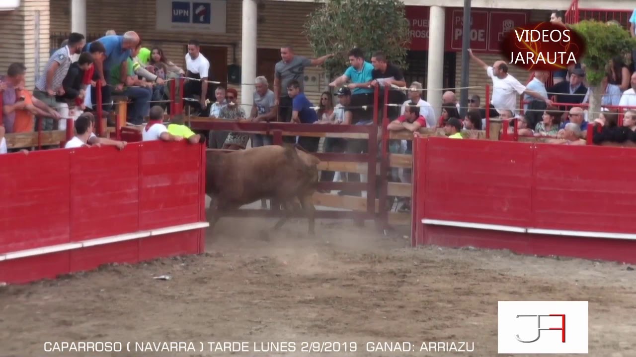 Bull Jumps Into Terrified & Screaming Crowd - YouTube