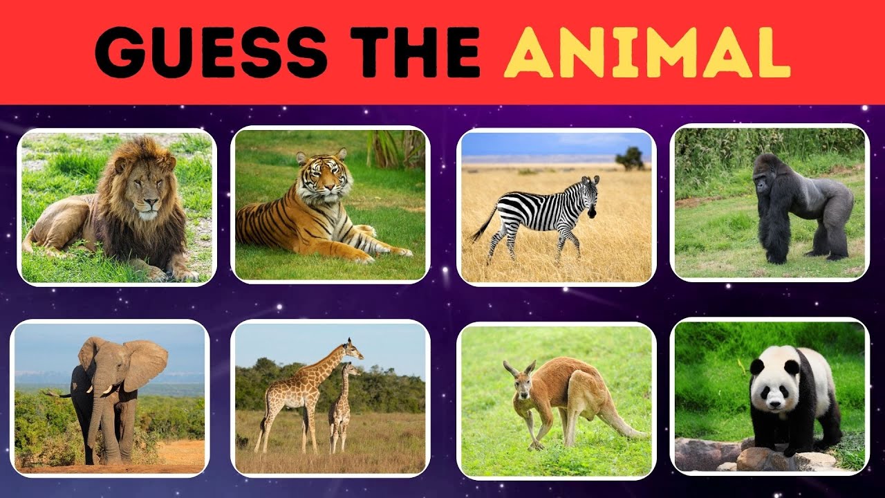 GUESS THE ANIMAL? ANIMAL EDITION - YouTube