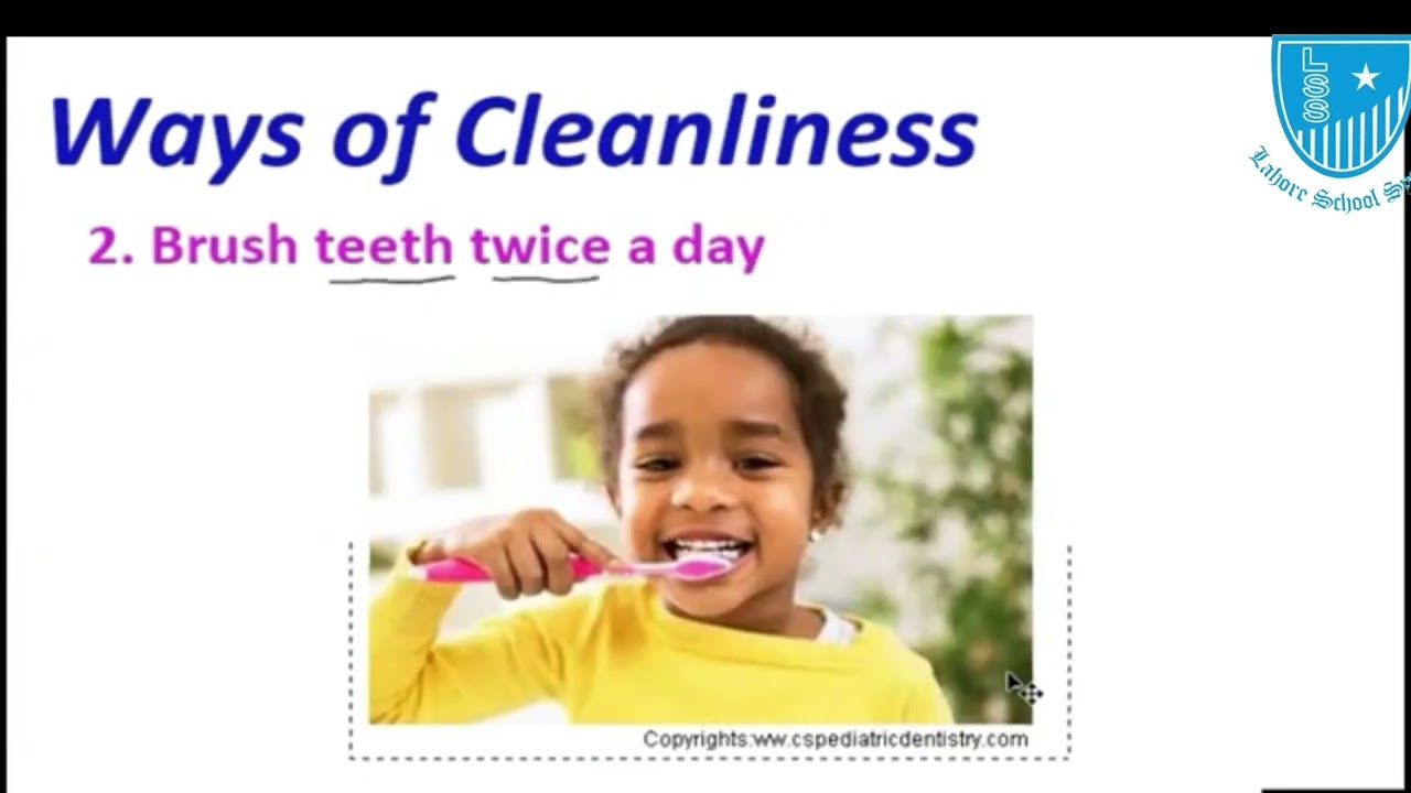 Grade 1 Science Lecture 10 - YouTube