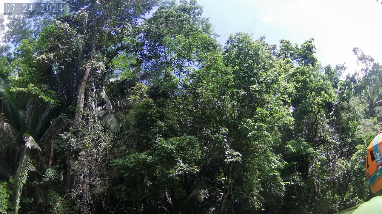 Belize digital camera vlog (2024) - YouTube
