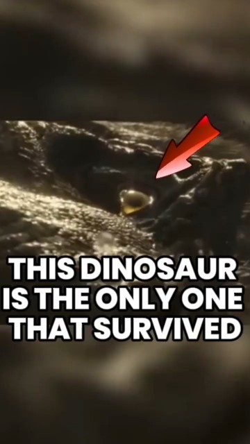THE ONLY ONE DINOSAUR THAT SURVIVED 😱🌍 - YouTube