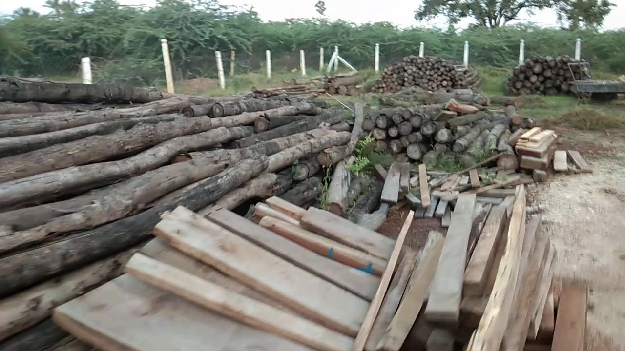 Wood Manufacturer in Trichy - YouTube