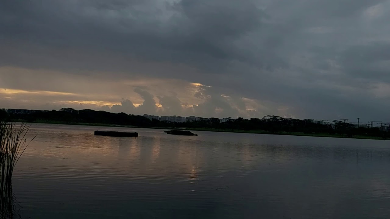 Beauty of nature ( near Yishun Dam, Singapore ) - YouTube