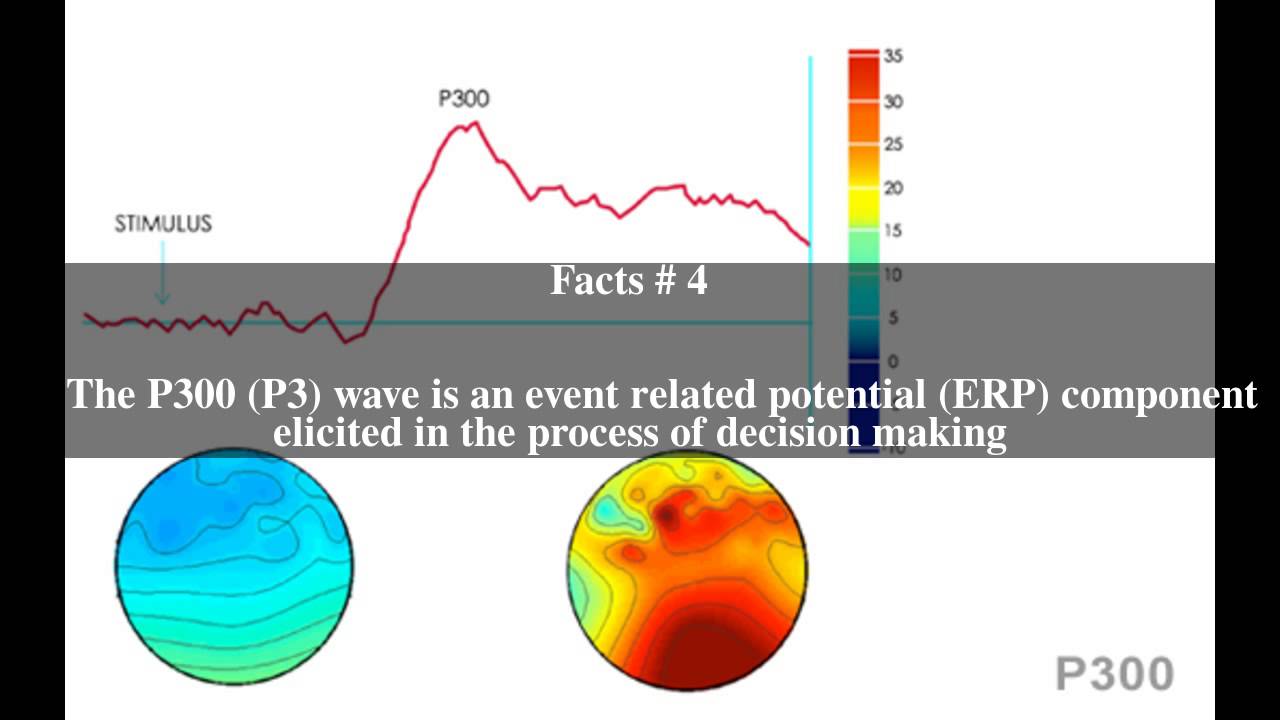 P300 (neuroscience) Top # 10 Facts - YouTube