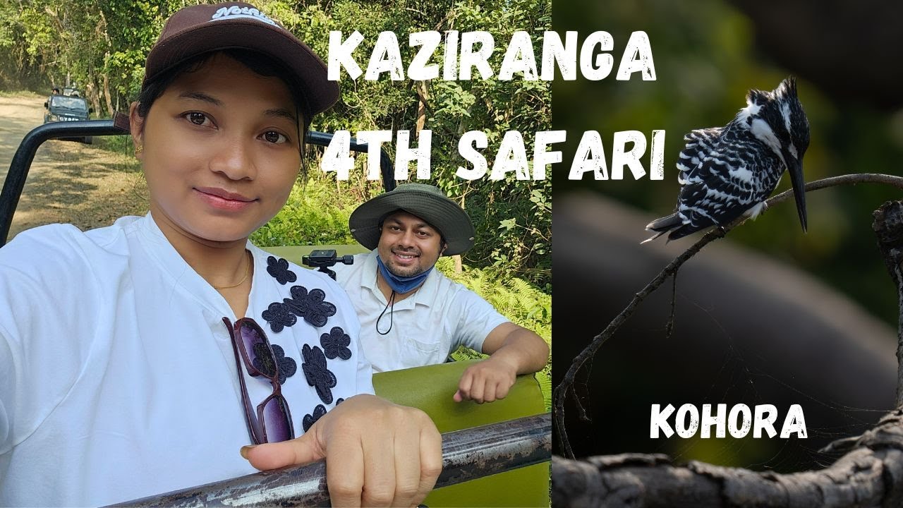 Kaziranga 4th safari | Kohora Range | Kaziranga Series - YouTube