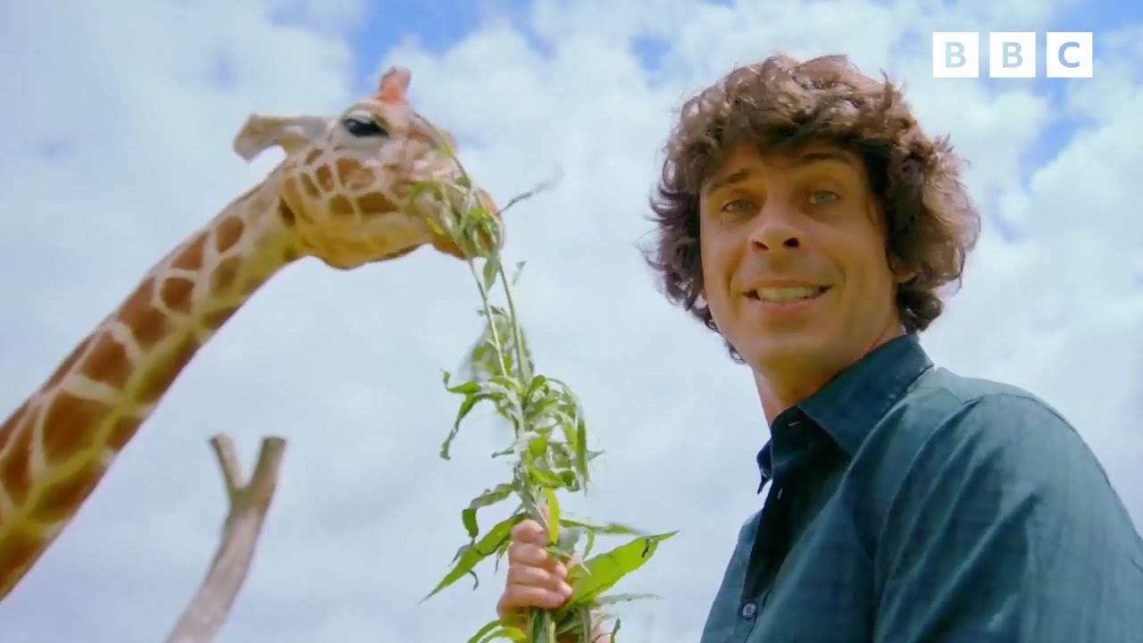 Learn about WILD animals! | Andy's Adventures | Andy's Amazing ...