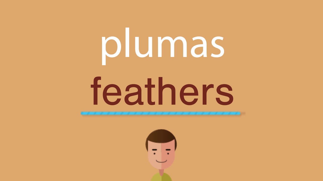 Cómo se dice plumas en inglés - YouTube