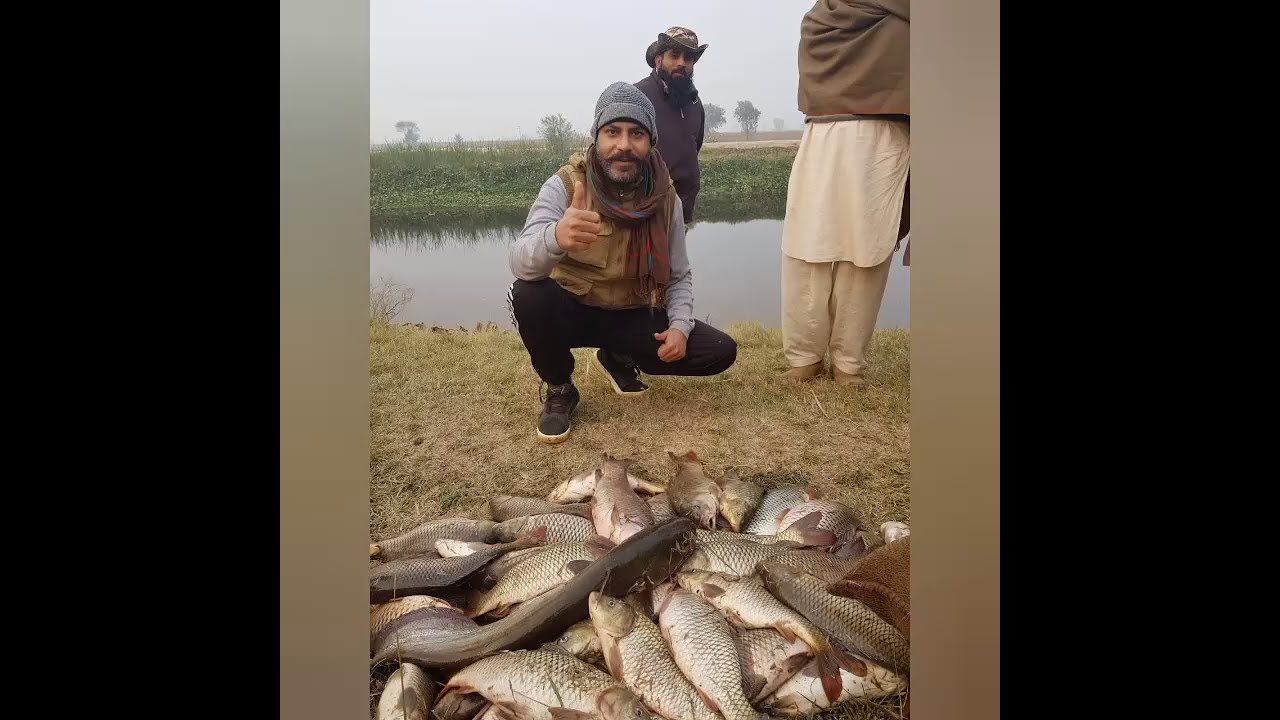 Best Fish Catching & Fish Hunting Spot Near Lahore | Colony Nehar - YouTube