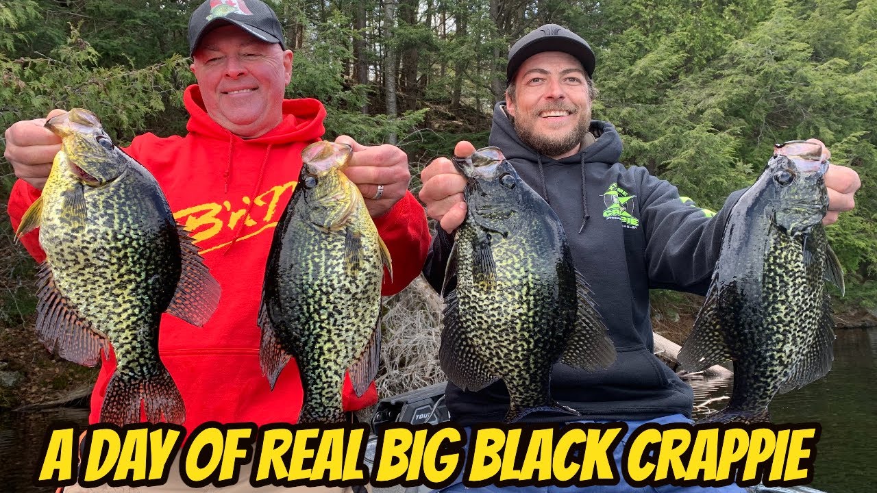 REAL BIG BLACK CRAPPIE- How we did it - YouTube