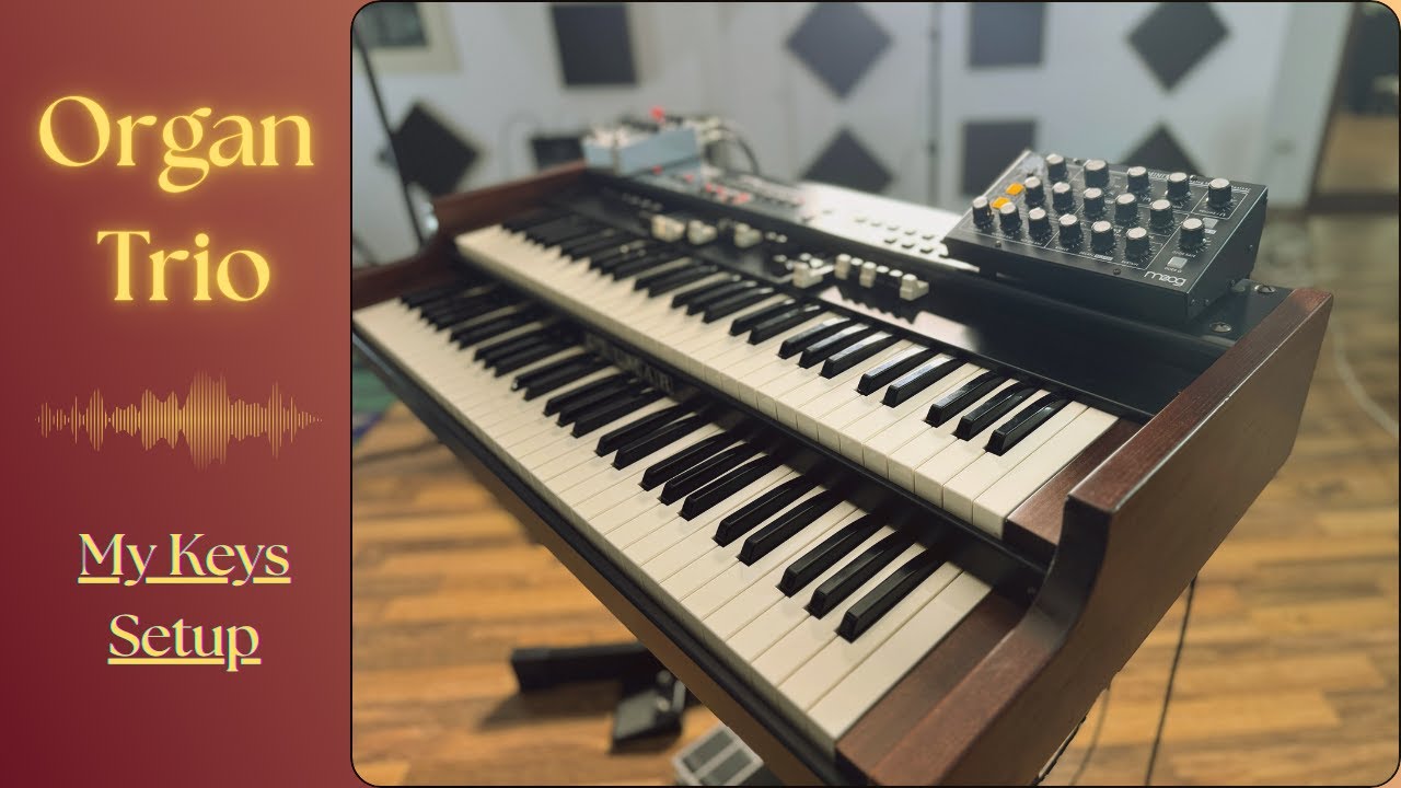 Organ Trio? Ecco il mio Setup! - YouTube