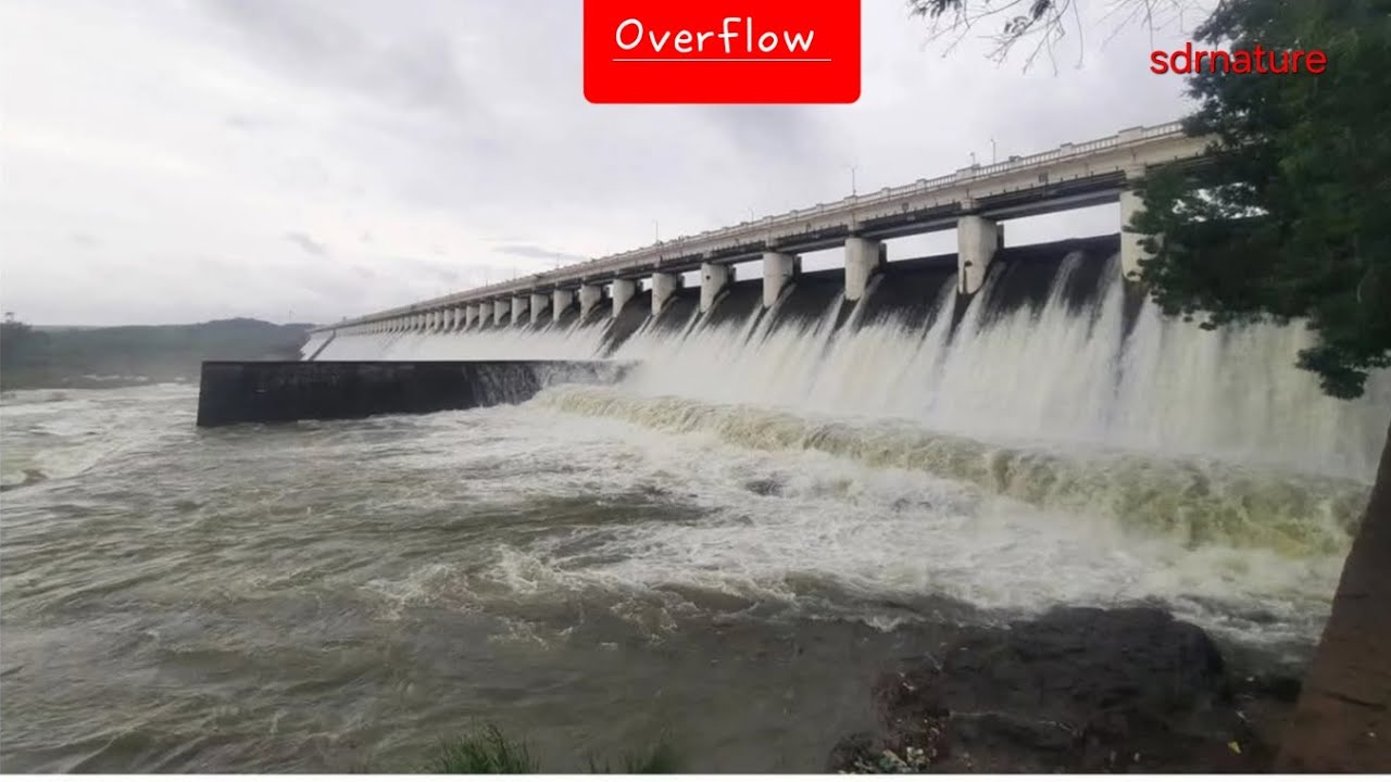 Shatrunjai Dam Overflow 2025 🚨 | 59 Gate Full Opened | Shetrunji River ...